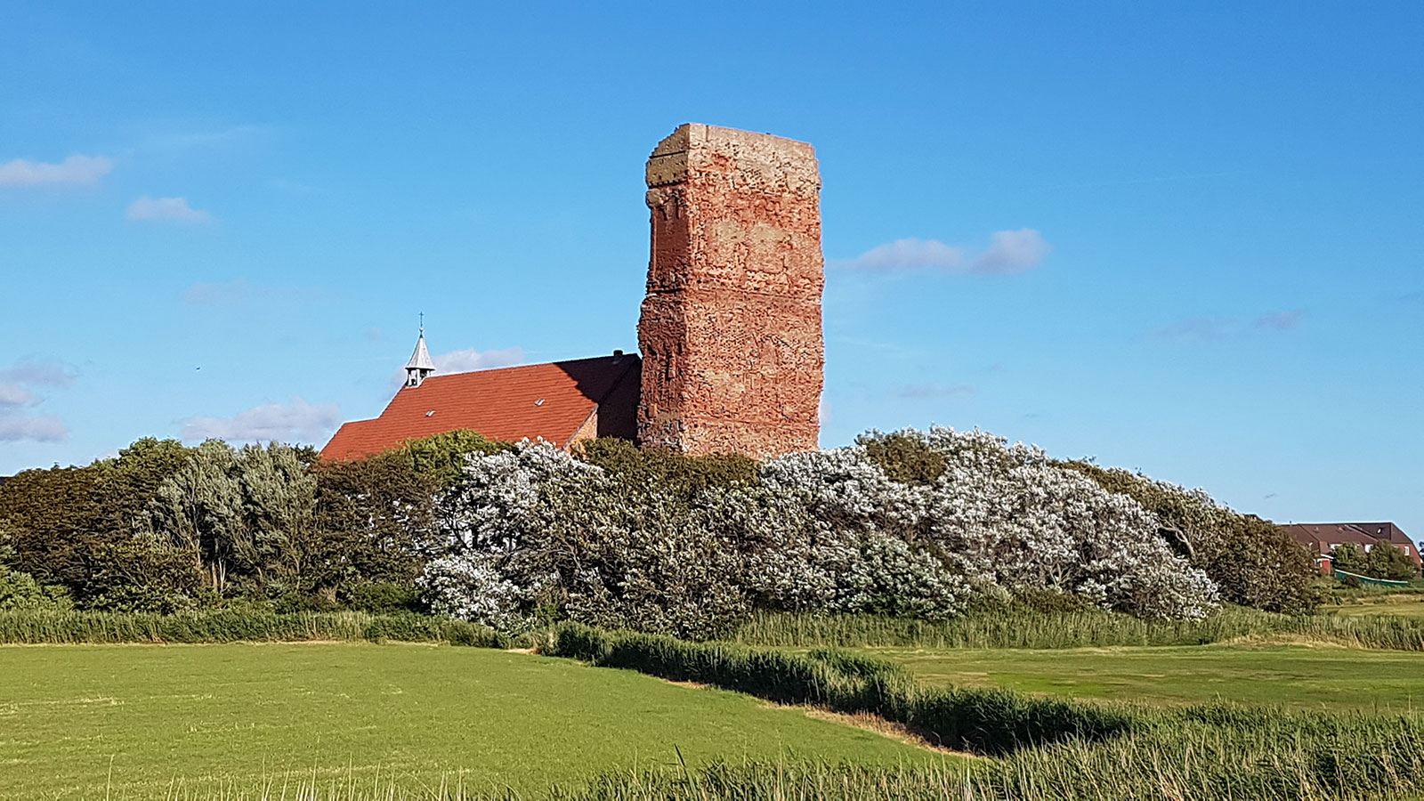 Urlaub Nordseeinsel Pellworm - Nordseeurlaub: Ferienhaus auf Pellworm